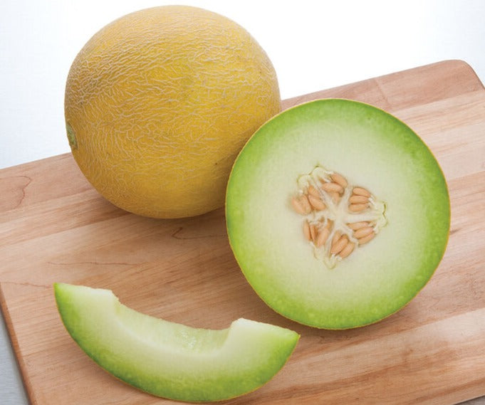 Galia Melon - (Select a size) – River Love Farm
