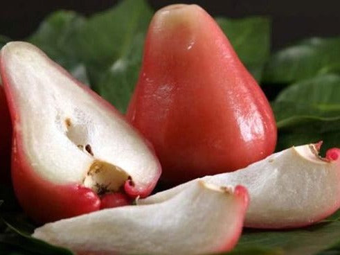 Wax Apple / Wax Jambu (per lb) – River Love Farm