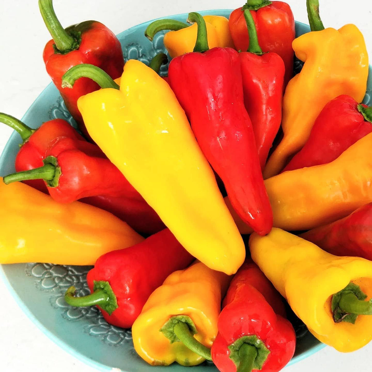 Bell Peppers - Red/Orange/Yellow (per 1/2lb) – River Love Farm